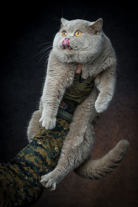 Photographer Mamuka Photographer Mamuka Khelashvili