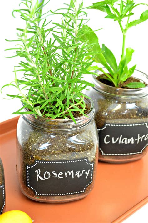 Diy Indoor Herb Garden Easy Fun Way To Grow Fresh Herbs Indoor