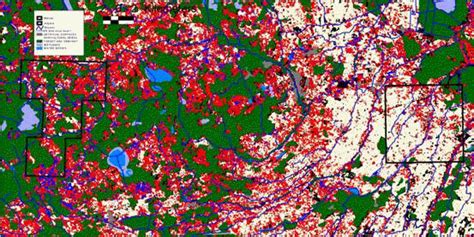 Use Of Sar Data To Map Grass Land