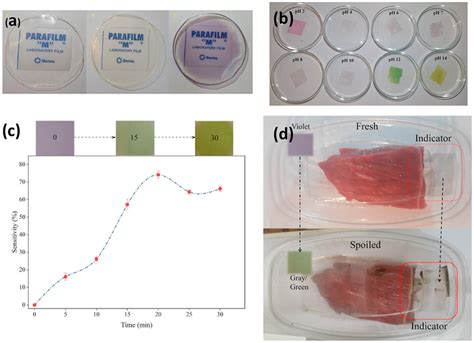 A Appearance Of Methylcellulose Chitosan Nanofibers And