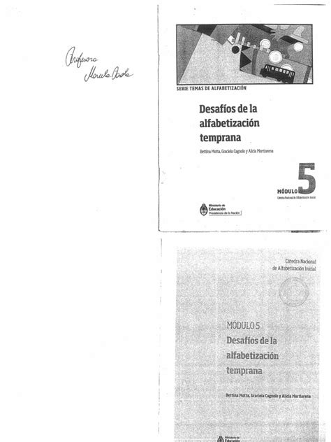 desafios de la alfabetizacion temprana modulo 5 pdf