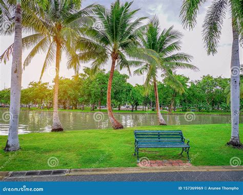 A Wooden And Wrought Iron Bench On Fresh Green Grass Yard Smooth Lawn