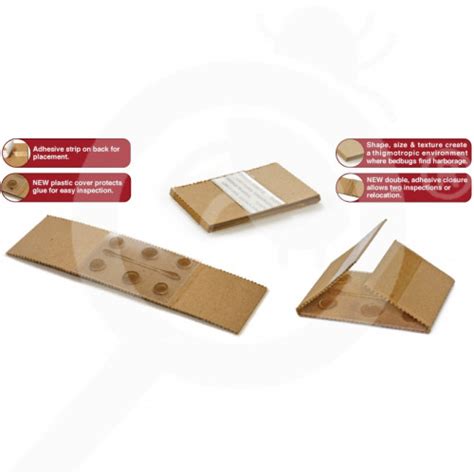 Bds Catchmaster Glue Trap Nexles Usa