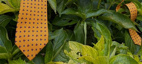 Petronius Dantendorfer Online Shop