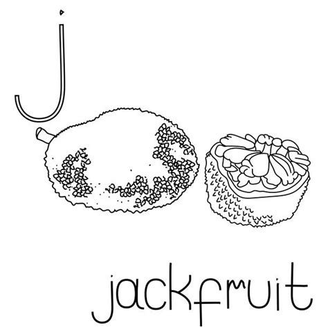 1 200 Nangka Ilustrasi Grafik Vektor And Clip Art Bebas Royalti
