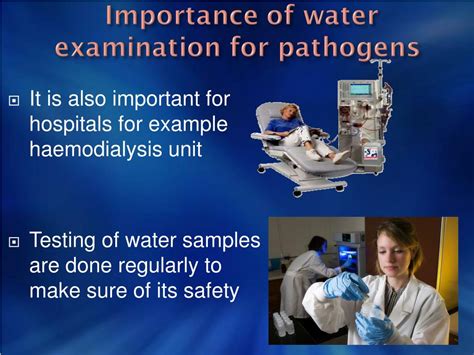 Ppt Bacteriological Examination Of Water Milk And Air Powerpoint Presentation Id 2263992