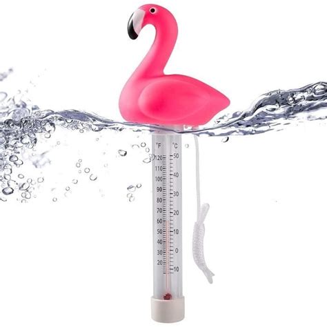 Thermomètre De Piscine Flottant Thermomètre Flottant Avec Ficelle