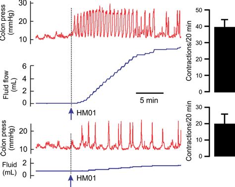 Desensitisation Of Responses To Successive Administrations Of Hm01 The