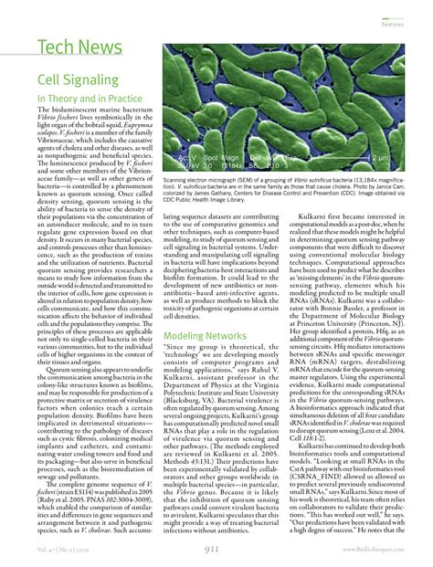 PDF Cell Signaling