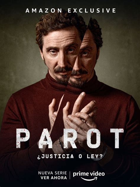 Parot Tv Poster Cartel 2 Of 5 Imp Awards