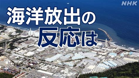 原発の処理水 海洋放出 東京都内の料理店や豊洲市場の仲卸会社などの受け止めは？ Nhk