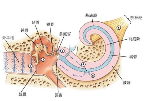 为什么很多厂商在面对半入耳式降噪耳机的研发心生胆怯？ 漫步者社区