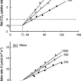 Net CO2 Assimilation Rate A As A Function Of Intercellular CO2