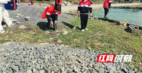 零陵区大庆坪学校：“学雷锋”志愿服务活动闪耀光芒腾讯新闻