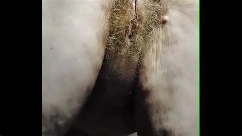 Granny Fucks Hairy Pussy With Cucumber Xnxx Com