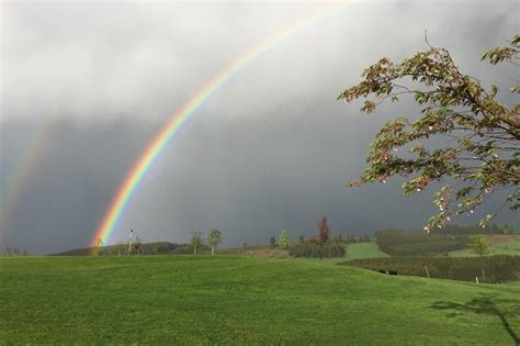 Rainbow Symbolism 8 Meanings Pride Hope And Dreams