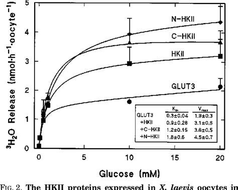 Figure 1 From Functional Organization Of Mammalian Hexokinase Ii