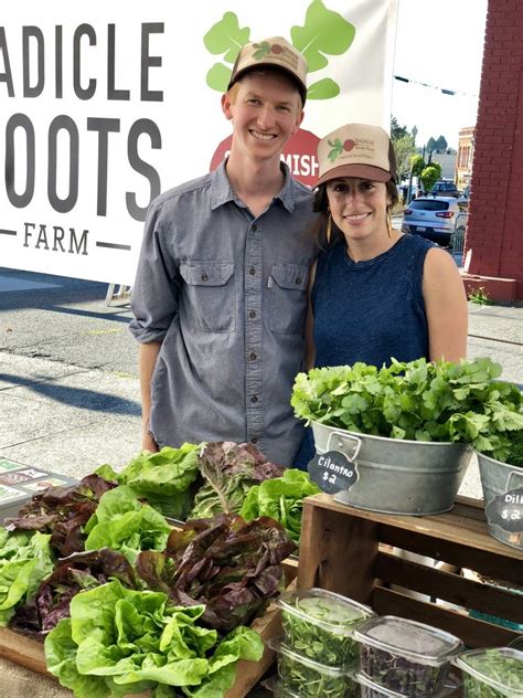 Radicle Roots — Matt Ogle Design