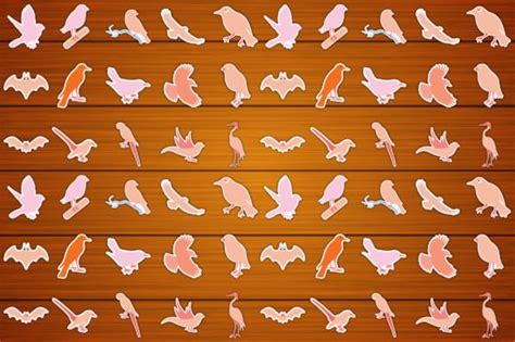 Bird Stickers Image Bundle Graphic By Crazy Cat · Creative Fabrica