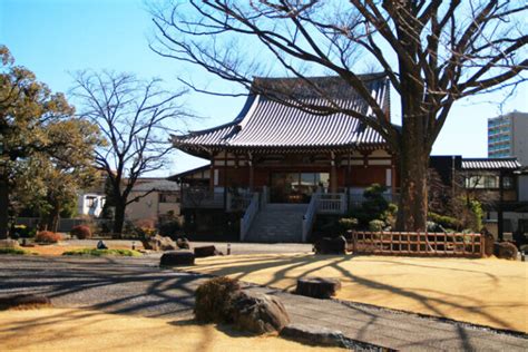 北区赤羽岩淵にある正光寺の枝垂れ梅が見頃でした赤羽マガジン
