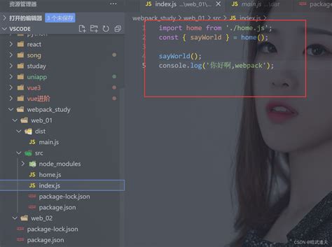 webpack和vite简单使用 webpack和vite的使用 csdn博客