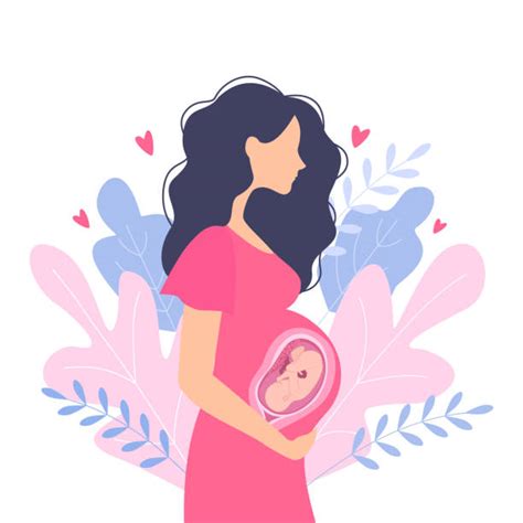 Pregnant Belly Drawing Illustrations Royalty Free Vector Graphics
