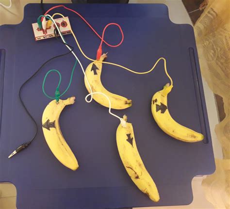 Mate Steam Makey Makey