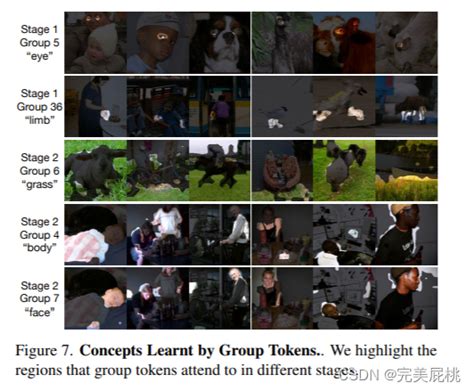 论文阅读 GroupViTSemantic Segmentation Emerges from Text Supervision语义分割