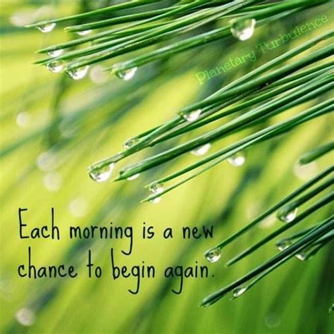 Choose To Renew Refresh With A Cleansing Massage Call For An Appointment At