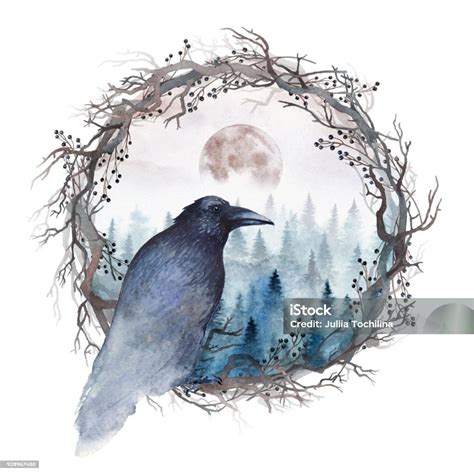 맨 손으로 가지와 검은 까마귀의 화 환 안에 떠오르는 보름달과 안개 가문비나무 숲 수채화 그림 흰색 절연입니다 철새까마귀에 대한 스톡 벡터 아트 및 기타 이미지 Istock