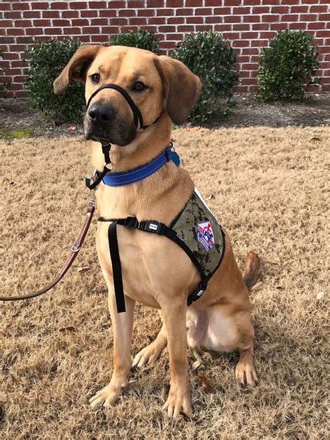 Morgan Scheibel Allstate Car Insurance Agent In Wilmington Nc