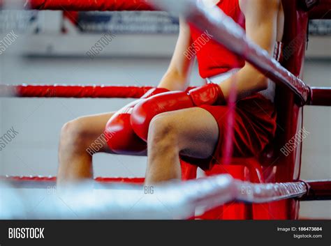 Young Boxer Man Corner Image And Photo Free Trial Bigstock
