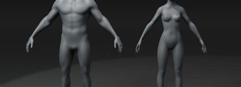 Male And Female Body Base Mesh FlippedNormals