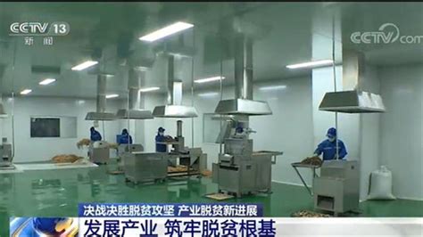 產業脫貧新進展：發展產業 築牢脫貧根基 每日頭條