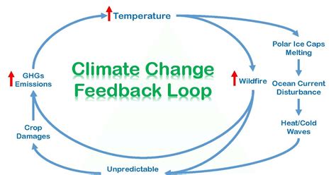 Climate Change Feedback Loop