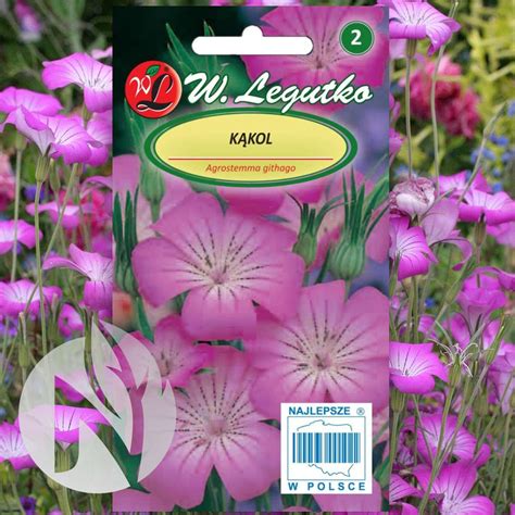 Raugė Dirvinė Agrostemma Githago Sėklos 50 Vnt 1276 Namų Zona