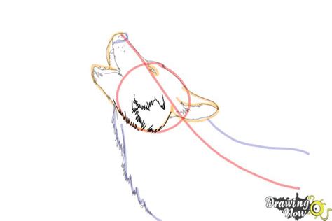 How To Draw A Wolf Howling DrawingNow