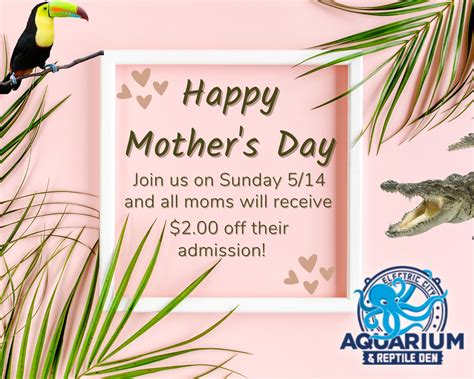 Mothers Day Electric City Aquarium And Reptile Den
