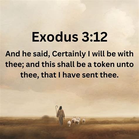 7 Life Lessons We Can Learn From Timothy Biblical Life Lessons