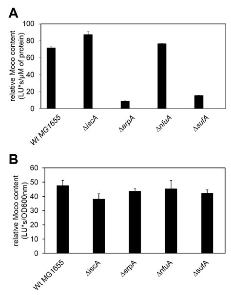 Analysis Of Relative Moco Content From Purified Ecpaoabc A And Cell