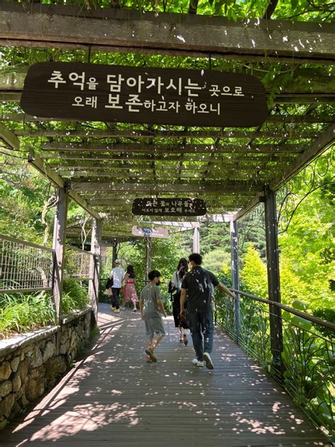 곤지암리조트 화담숲 여름 수국 축제 네이버 블로그