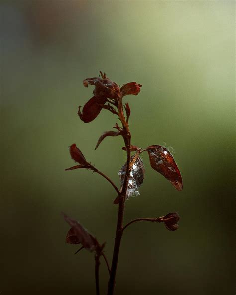 External Exposure Photography