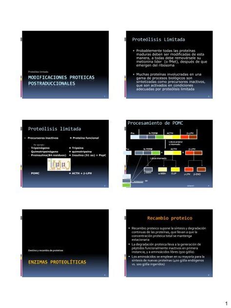3 Proteolisis Limitada