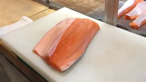 Does All Salmon Have Worms Know Before Fly Fishing