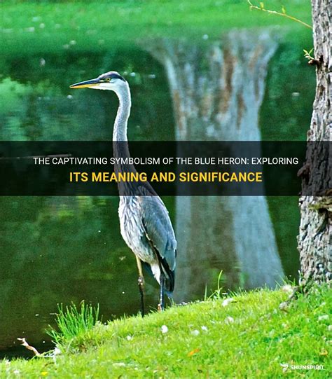 The Captivating Symbolism Of The Blue Heron Exploring Its Meaning And