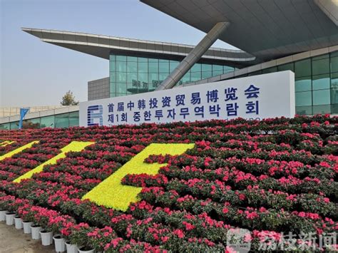 开放合作、共享未来！首届中韩投资贸易博览会在盐城开幕荔枝网新闻