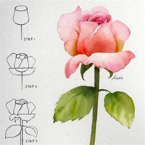 A Drawing Of A Pink Rose With Green Leaves And Instructions On How To