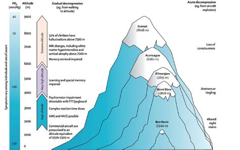 Into Thin Air The Science Of Altitude Acclimation IRunFar