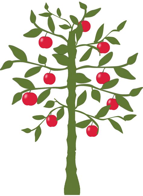 Fruit Apple Tree Others Clipart Clip Art 2 Clipartix