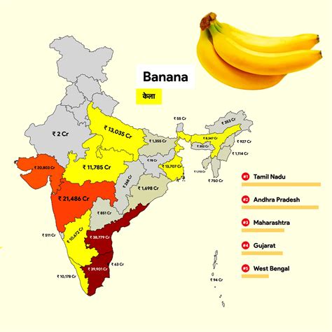 Banana The Golden Fruit Of India Nutrition Benefits And Uses The